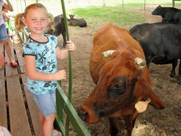 15 Places in Houston to See Animals - Showit Blog